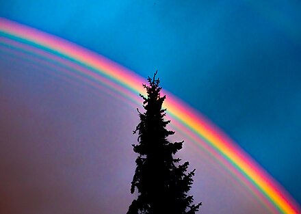 "Rainbow, Rainbow, Rainbow!" - Worcester County Poetry Association
